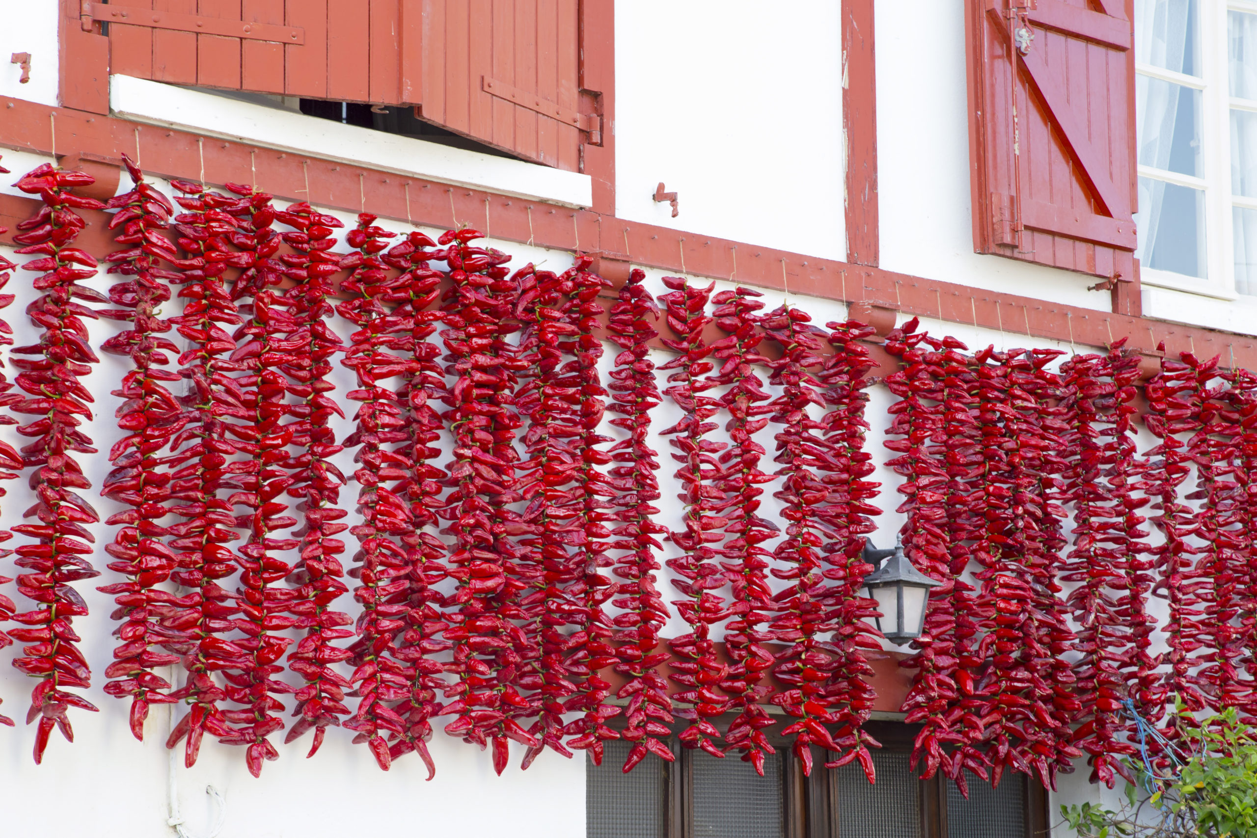 Découvrir le piment d’Espelette | Audrey Cuisine